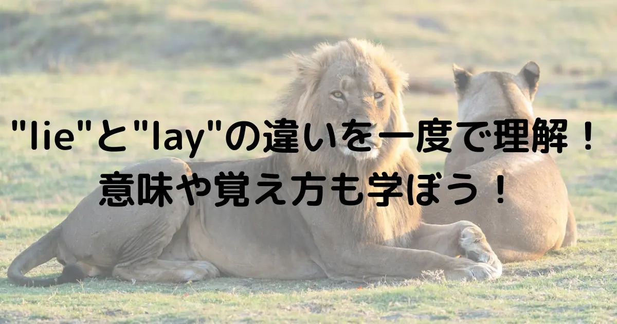 "lie"と"lay"の違いを一度で理解！意味や覚え方も学ぼう！ - yukihiro-English